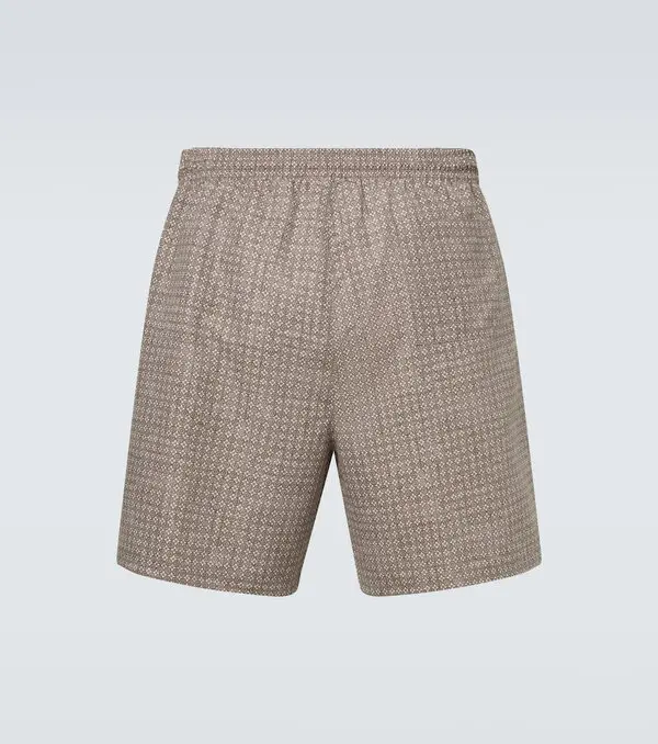 Brunello Cucinelli Printed Swim Trunks - Brown