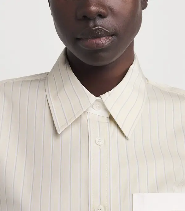 Lafayette 148 New York Cotton Stripe Oversized Shirt - Beige