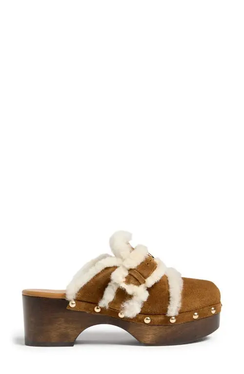 Cinq À Sept Wrenley Genuine Shearling Buckle Clog