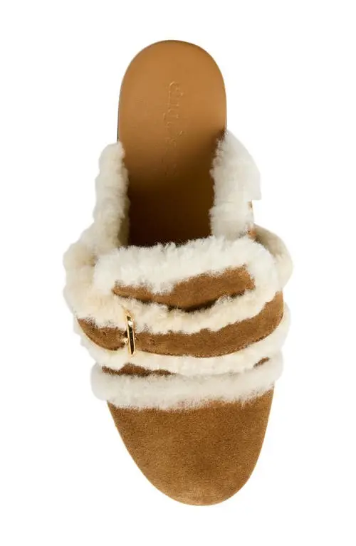 Cinq À Sept Wrenley Genuine Shearling Buckle Clog