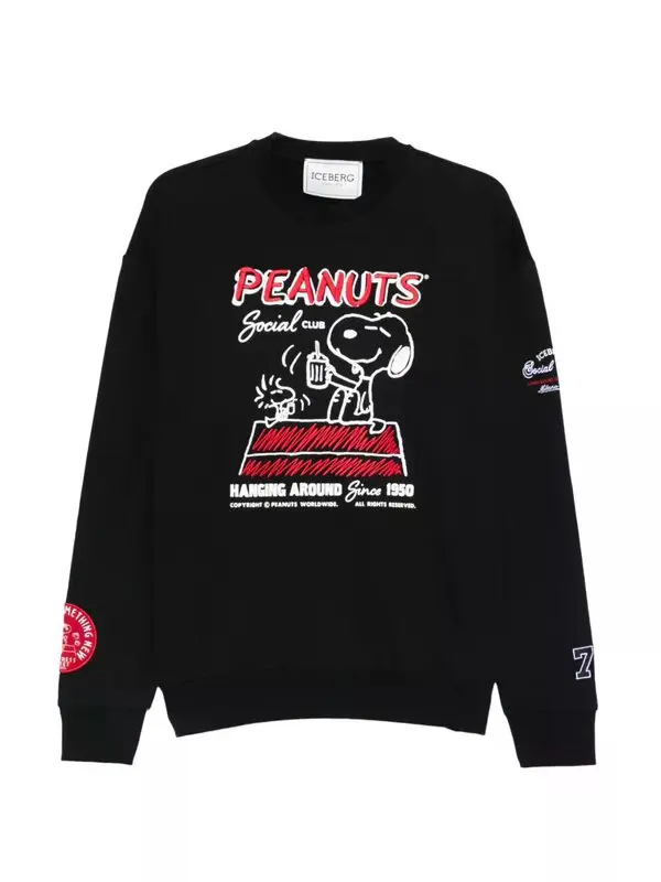 Iceberg Graphic Crew-neck Sweater