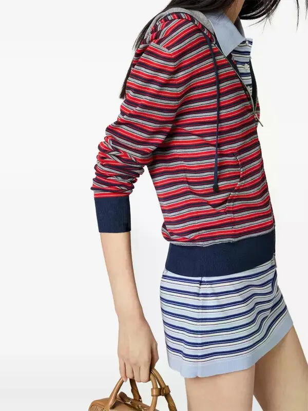 Miu Miu Striped Hoodie