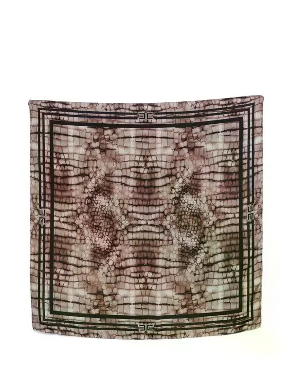 Elisabetta Franchi Patterned Scarf - Brown