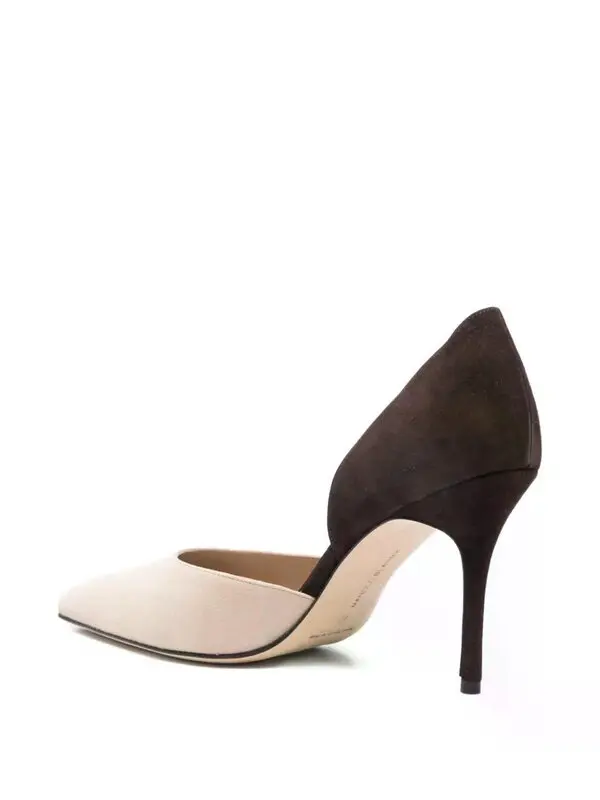 Manolo Blahnik Taylerbinu Point-toe Heeled Pumps