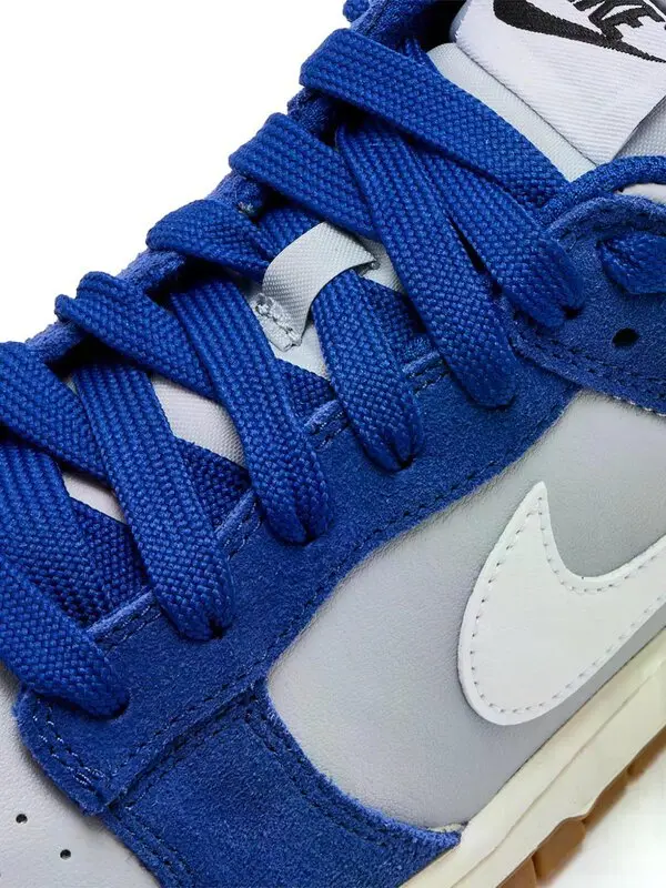 Nike Dunk Low Panelled Sneakers