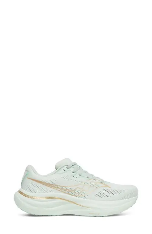Saucony Ride 19 Running Shoe - Hush