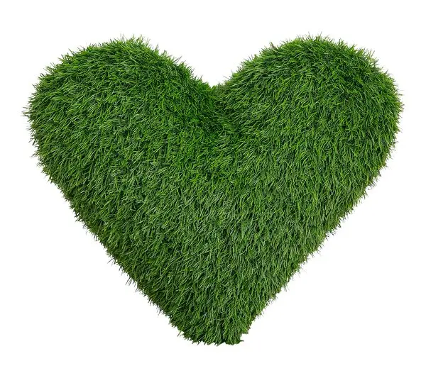 NEARLY NATURAL 20' Uv Heart Shaped Grass Cushio N Pillow - One-color