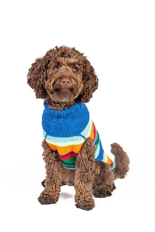 CHILLY DOG Royal Alpaca Stripe Dog Sweater