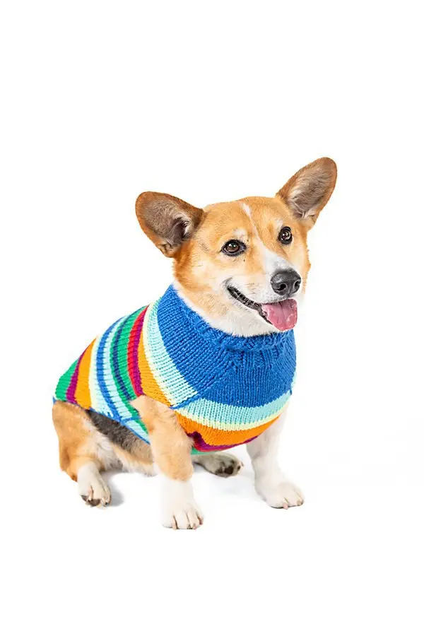 CHILLY DOG Royal Alpaca Stripe Dog Sweater
