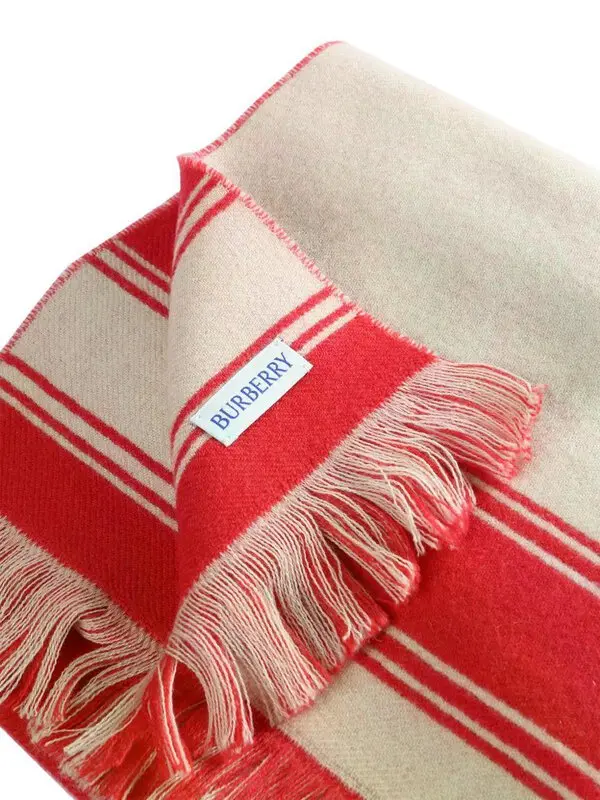 Burberry Striped Scarf