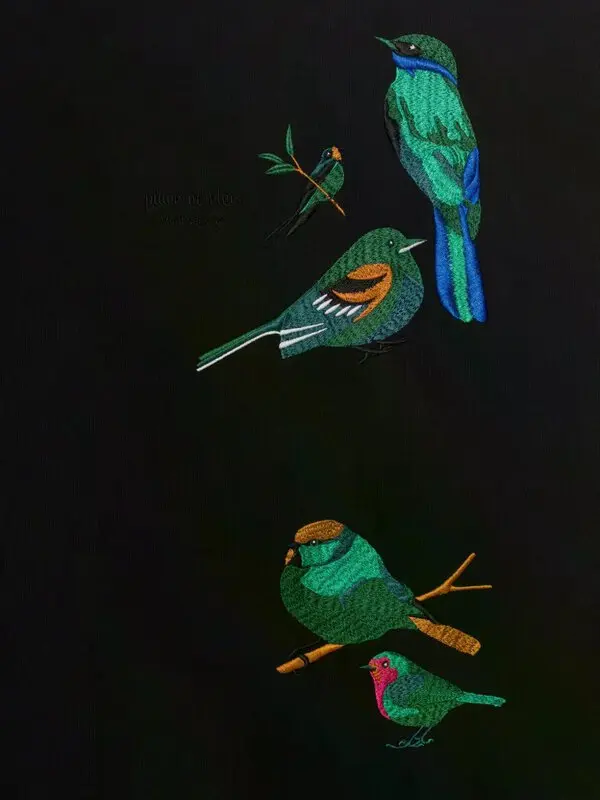 Place Of Ëlms Birds-embroidered Sweatshirt