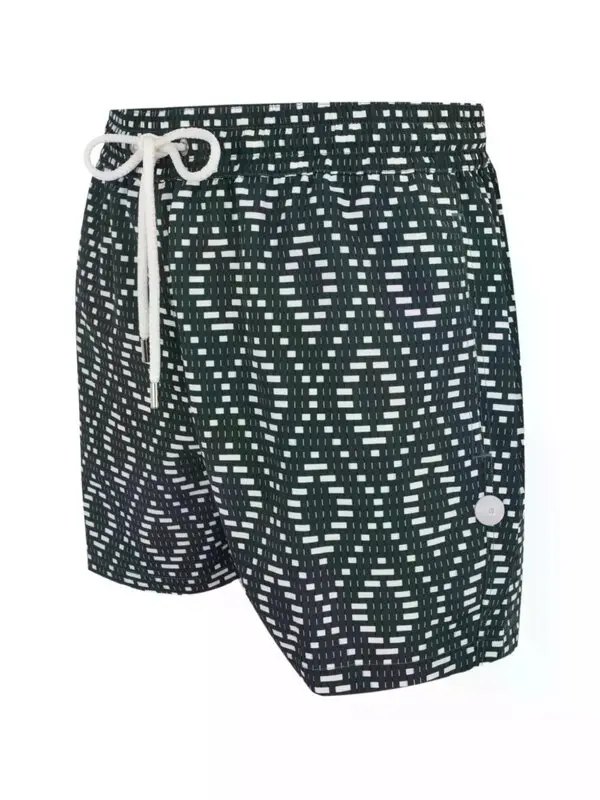 Frescobol Carioca Rio Printed Swim Short - Green