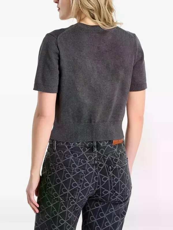 Calvin Klein Graphic Short-sleeve Sweater - Grey