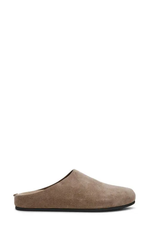 Steve Madden Fern Clog - Taupe Suede