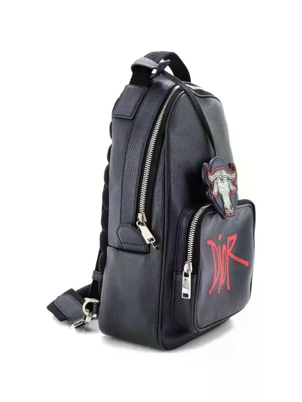 Buy Dior Shawn Stussy Crossbody Printed Leather Backpack  display picture 2