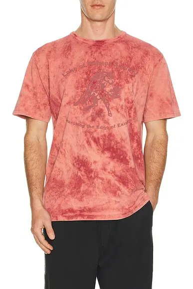 PALMES Lake Tee