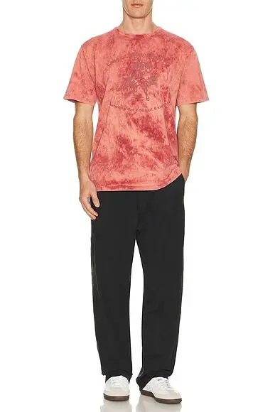 PALMES Lake Tee