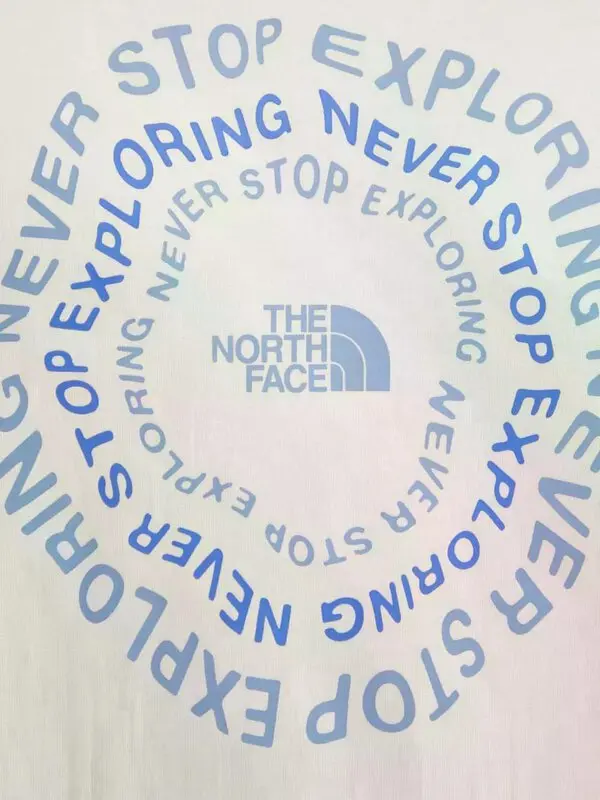 The North Face Logo Hooded Sweater