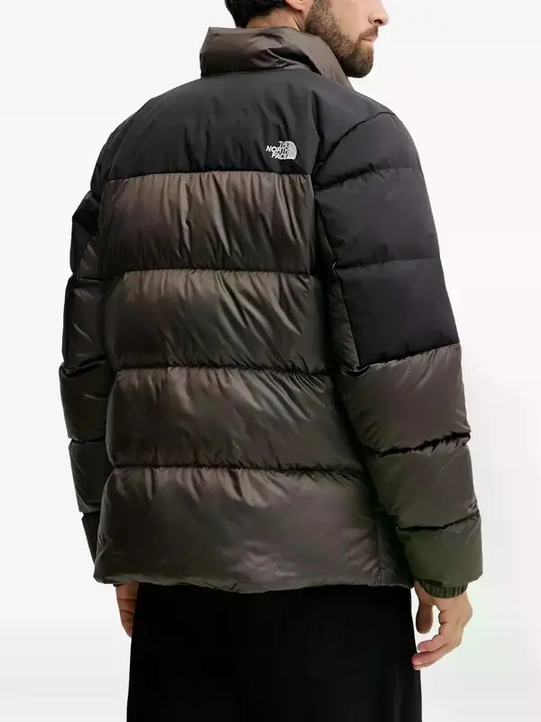 The North Face Performance Jacket - Brown