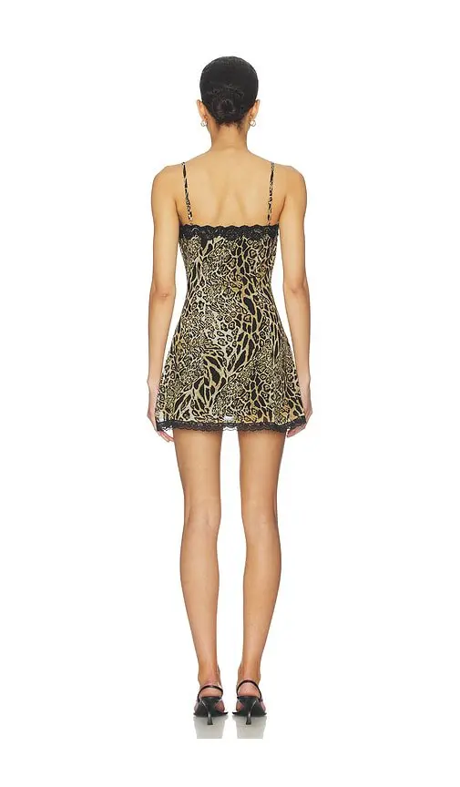 Superdown Assa Mini Dress With Leopard Print And Lace Trim