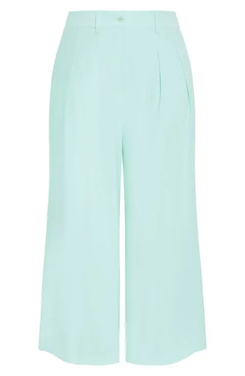 City Chic Wide Leg Pleated Front Pants - Spearmint
