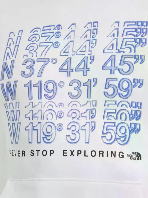 The North Face Print Hooded Sweatshirt
