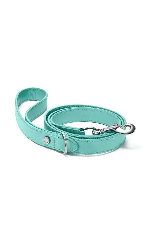 Tiffany & Co. Leather Pet Leash