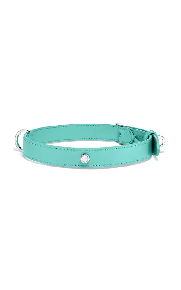 Tiffany & Co. Exclusive Pet Essentials Medium Leather Collar