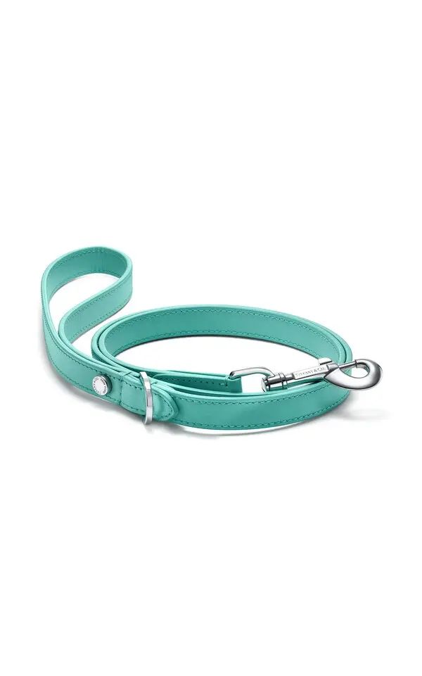 Tiffany & Co. Exclusive Pet Essentials Leather Leash - Blue