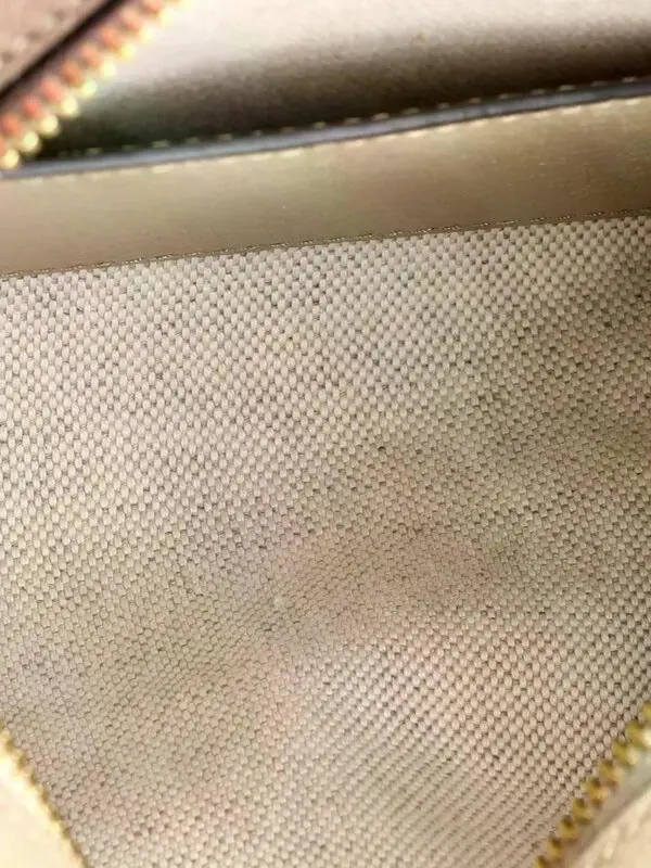 Gucci Ophidia Mini Crossbody Bag