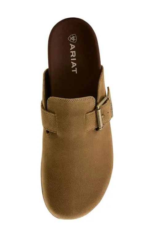 Ariat Country Mule