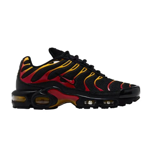 Nike Air Max Plus Sneakers - Black