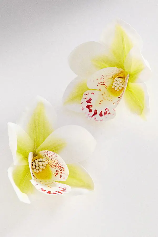 Anthropologie 3d Floral Stud Earrings - White