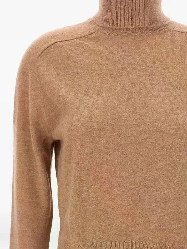 NOT SHY Ribbed Turtleneck Sweater