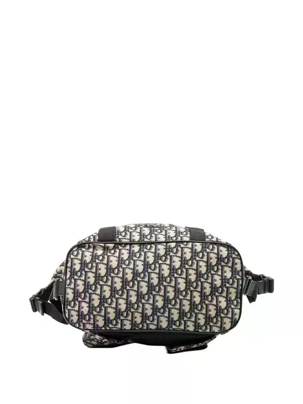 Dior 2019 Oblique Canvas Safari Backpack
