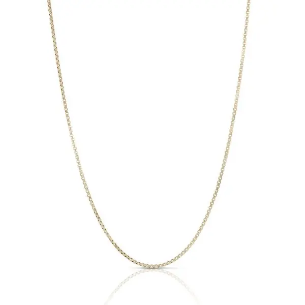 TOSCANO 14k Yellow Gold Half Round Box Chain 24 - Yg