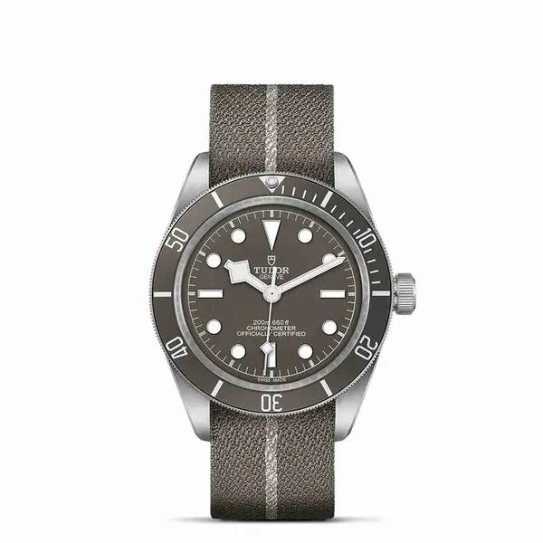 TUDOR Black Bay 58 925 Taupe Dial Watch 39mm - Ss