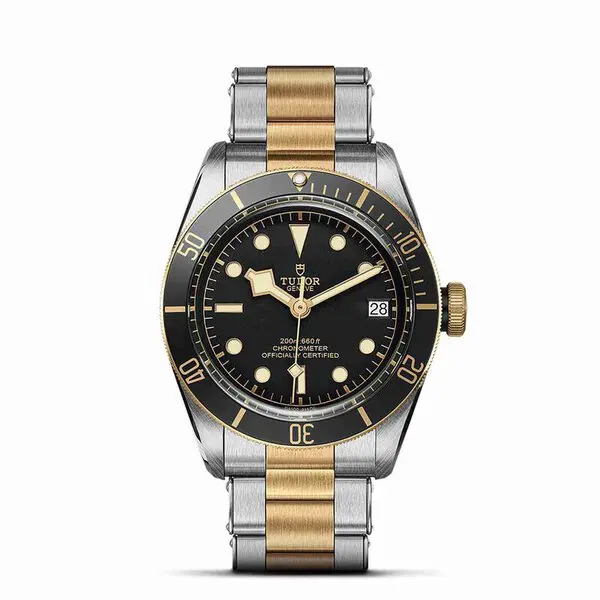 TUDOR Black Bay S&g 41mm Watch - 18k Stainless Steel