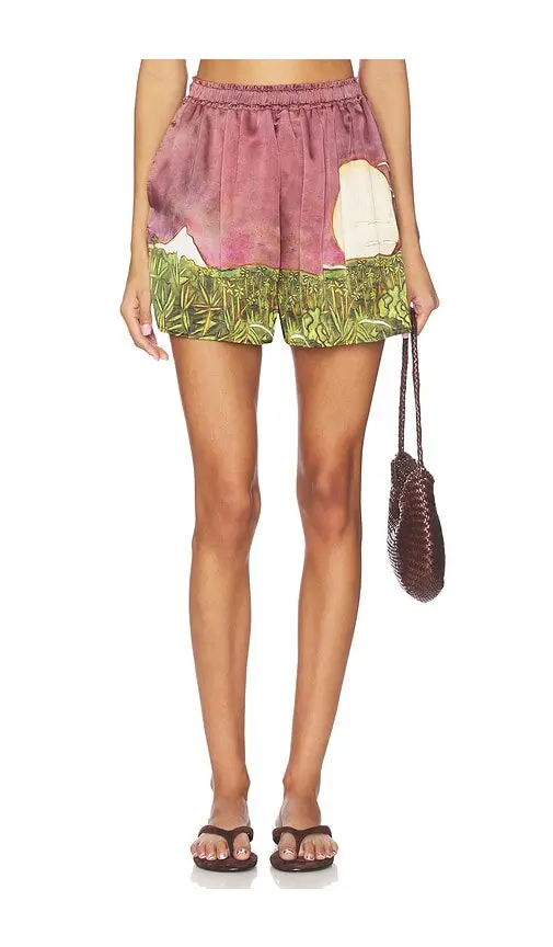 DONDE ESTEBAN La Sierra Silk Shorts In Wine - Multi