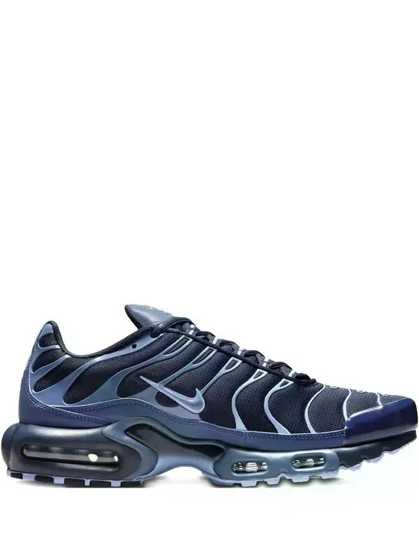 Nike Air Max Plus Sneakers - Blue