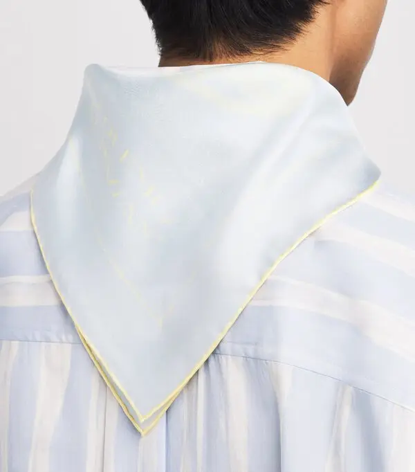 Jacquemus Silk Printed Paysan Scarf