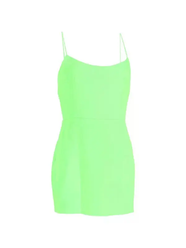 Alex Perry Cayde Sleeveless Mini Dress