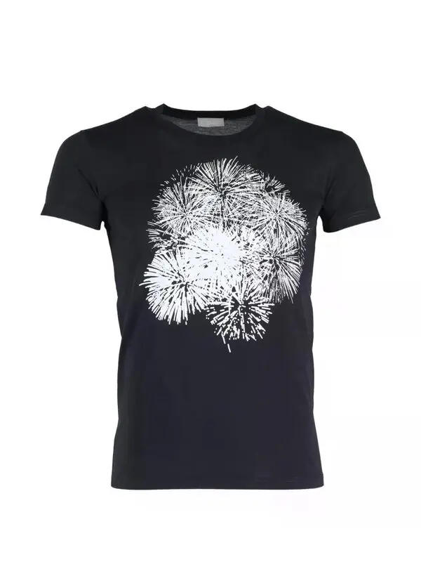 Dior Firework Graphic T-shirt