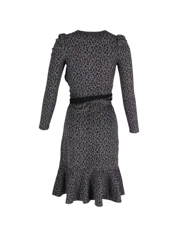 Diane Von Furstenberg Sienna Leopard-print Dress - Grey