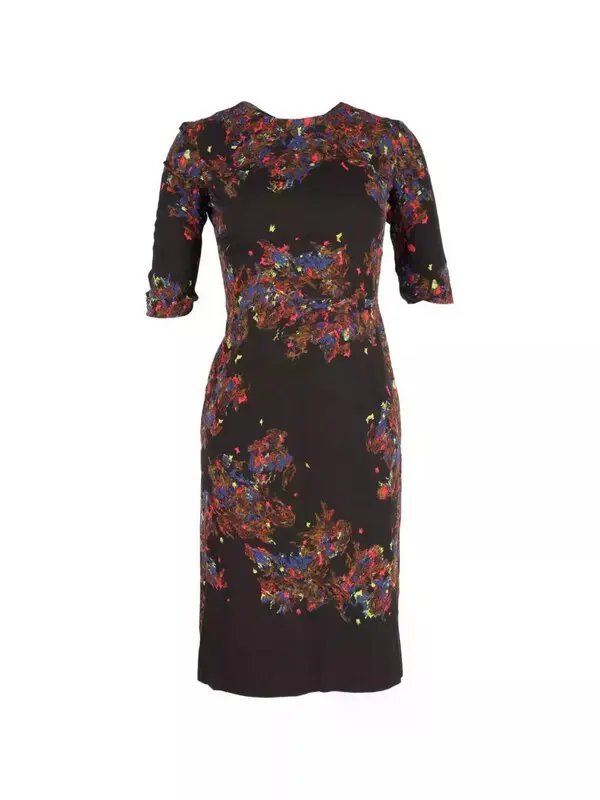 Erdem Printed Dress