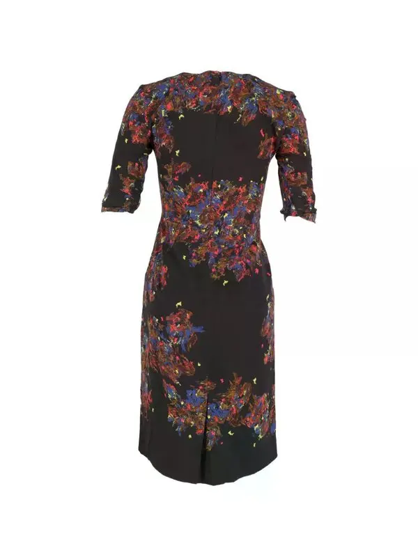 Erdem Printed Dress