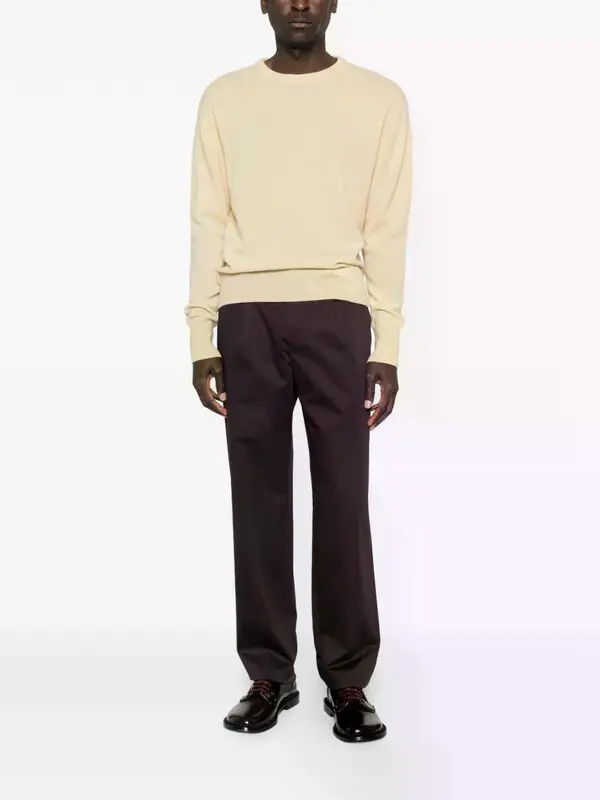 Agnona Pleated Trousers - Brown