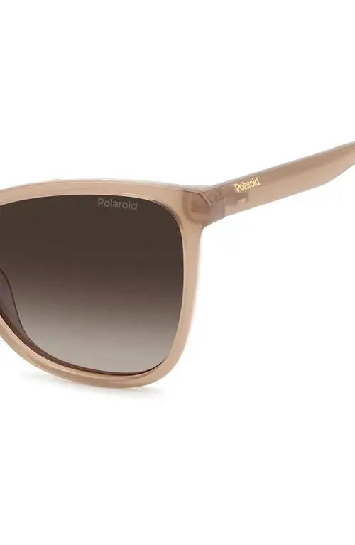 POLAROID 55mm Polarized Cat Eye Sunglasses - Nude/brown