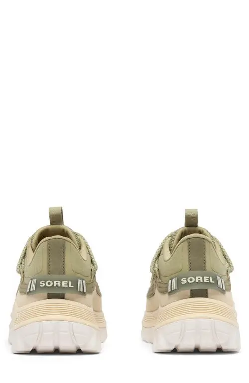 Sorel Callsign Horizon Low Top Sneaker - Dusty Twill/stone Green