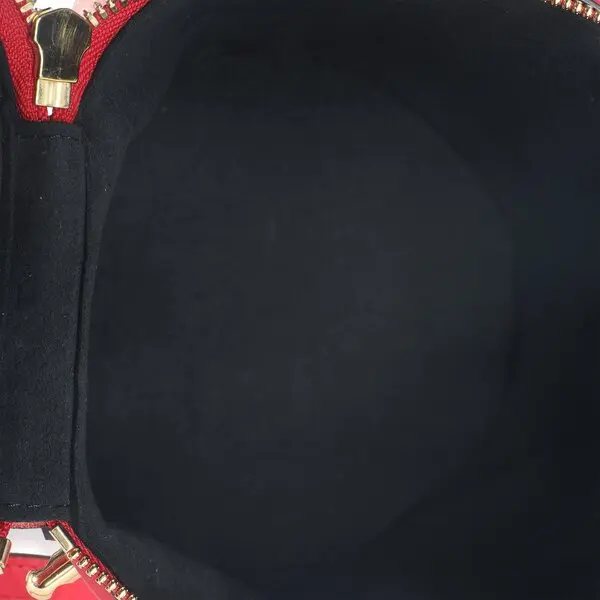 LOUIS VUITTON Cherry Monogram Vernis Cannes - Red